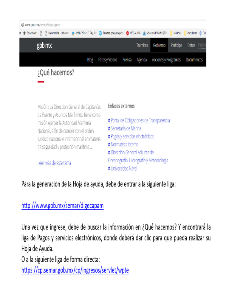 Instructivo Generaci N Hoja de Ayuda y Facturaci N | PDF | Informática