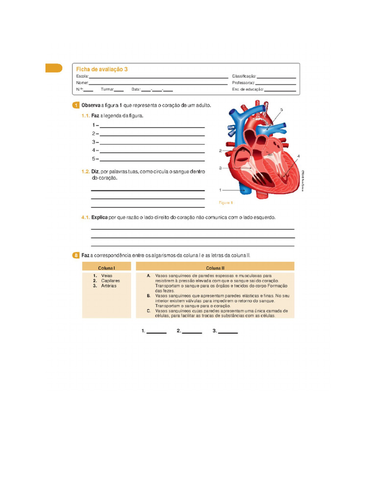 Documento Sem Título | PDF