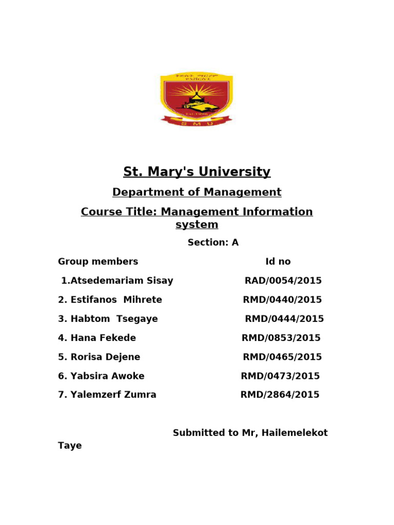 Ethiopian Airlines Report | PDF | Business | Information Technology Management