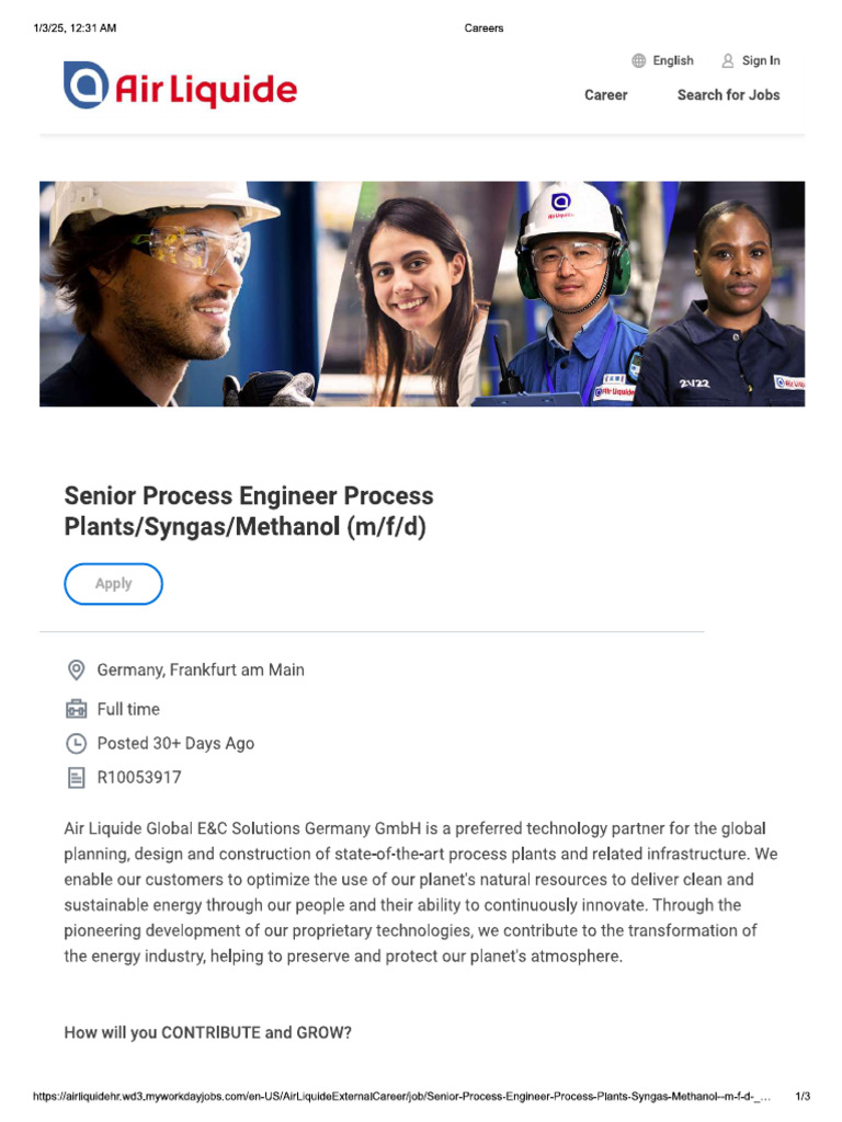 JD Senior Process Engineer Process Plants-Syngas-Methanol Air Liquide | PDF