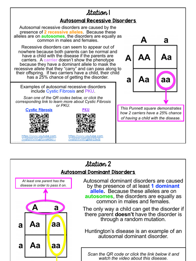 Stations - Genetic Disorders | PDF | Dominance (Genetics) | Allele