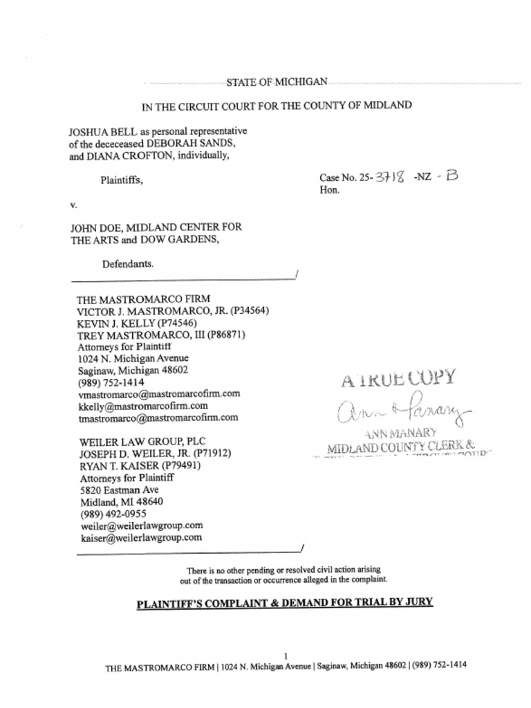 Lawsuit Filed in The Hit and Run Death of Deborah Sands | PDF