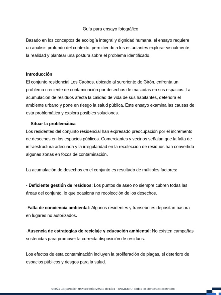 Guía para Ensayo Fotográfico | PDF