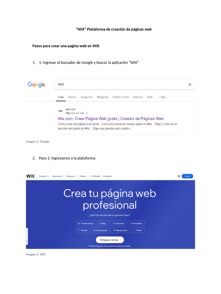 Manual de Paso A Paso en WIX | PDF