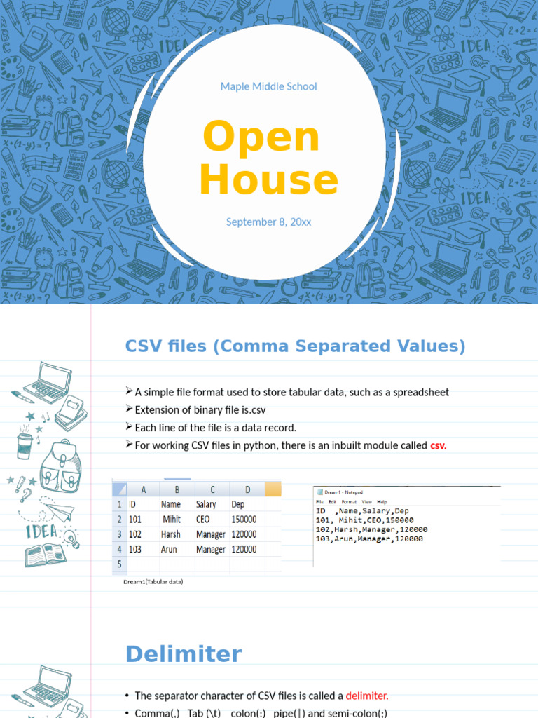 Understanding CSV Files and Usage | PDF