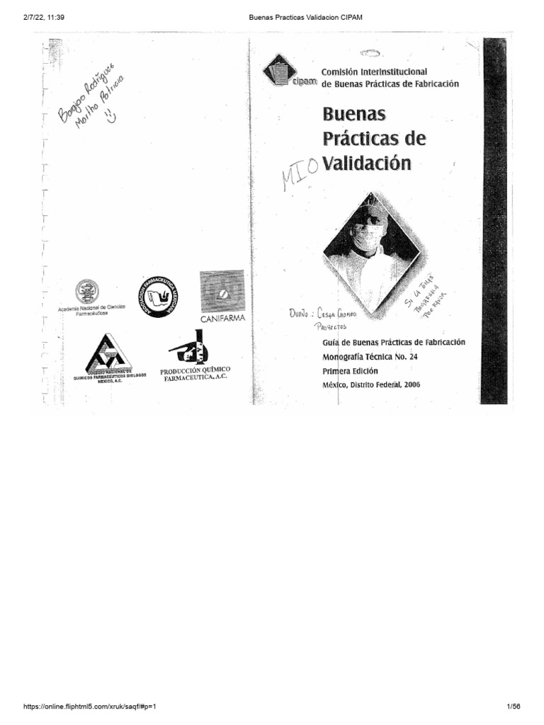 Buenas Practicas Validacion CIPAM | PDF