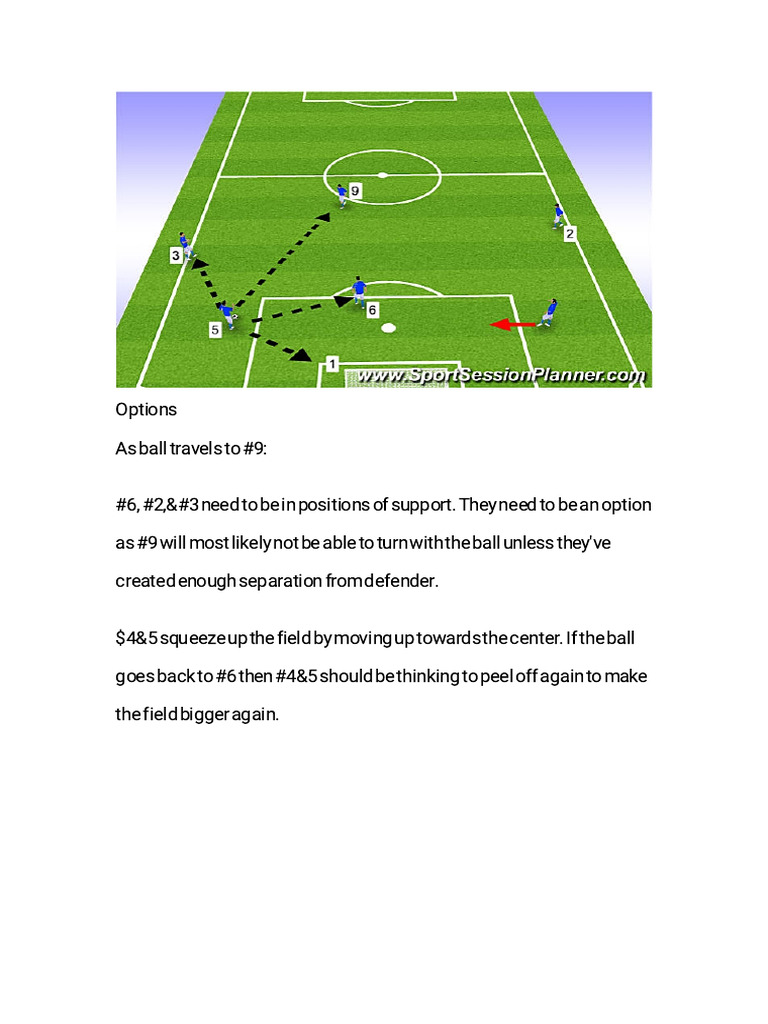 Options | PDF