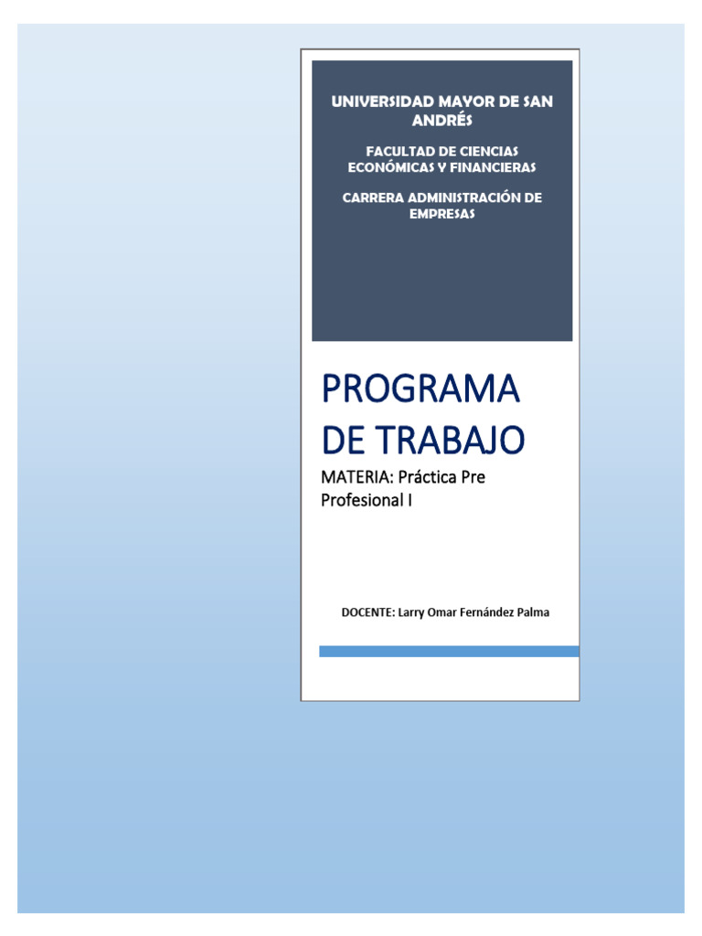 Formato de Programa Academico 2025 - PP I | PDF | Business ...