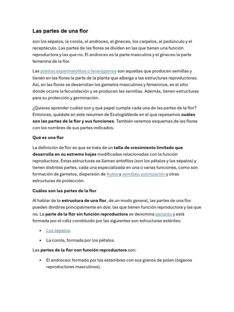 Las Partes de Una Flor | PDF | Flores | Ramas de la botánica
