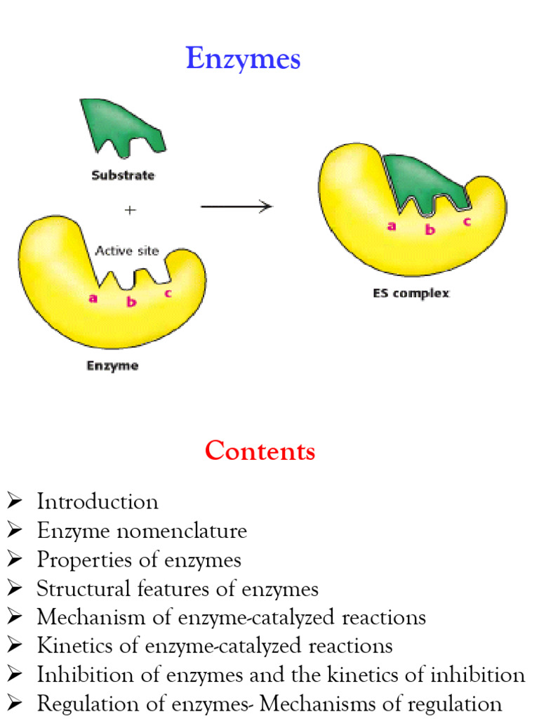 Enzymes MBCHB [Autosaved] | PDF | Enzyme | Cofactor (Biochemistry)