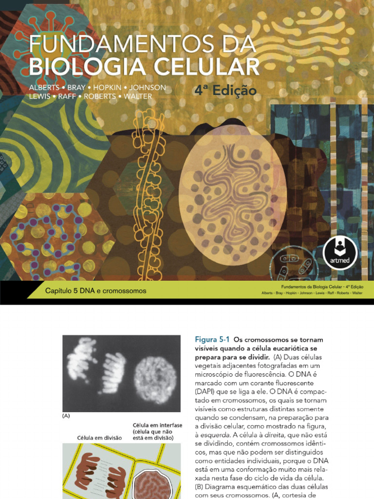 Alberts Fundamentos Cap05 | PDF