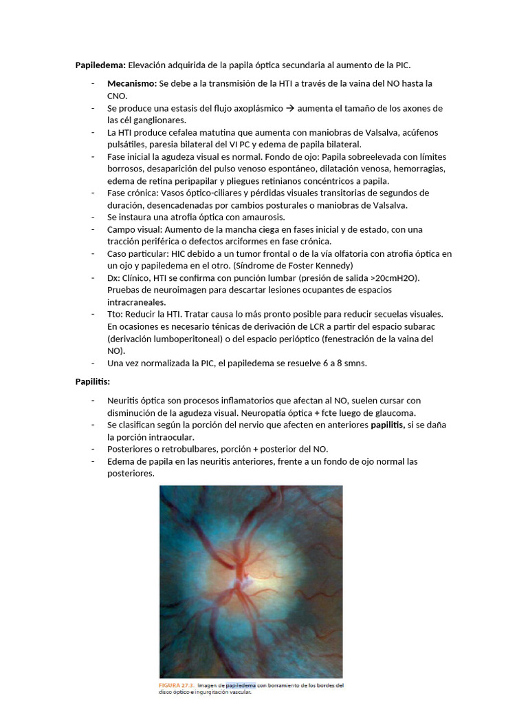 Papiledema | PDF | Percepción visual | Edema