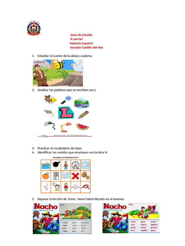 Guía de Estudio II Parcial 1er Grado | PDF