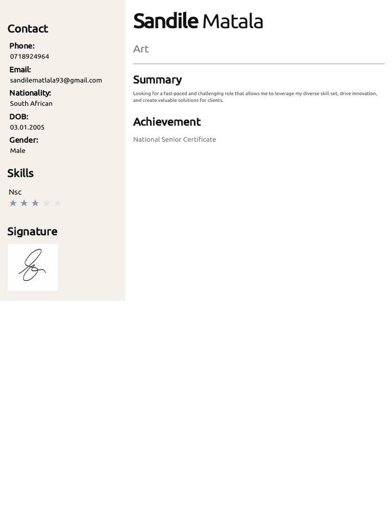 Sandile Resume 511 | PDF