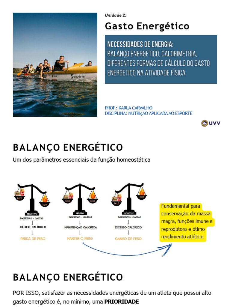 Gasto Energético e Cálculo da TMB | PDF | Calorimetria | Calor