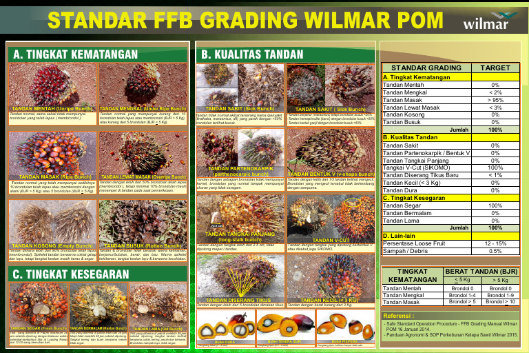 05 FFB Grading Standart | PDF
