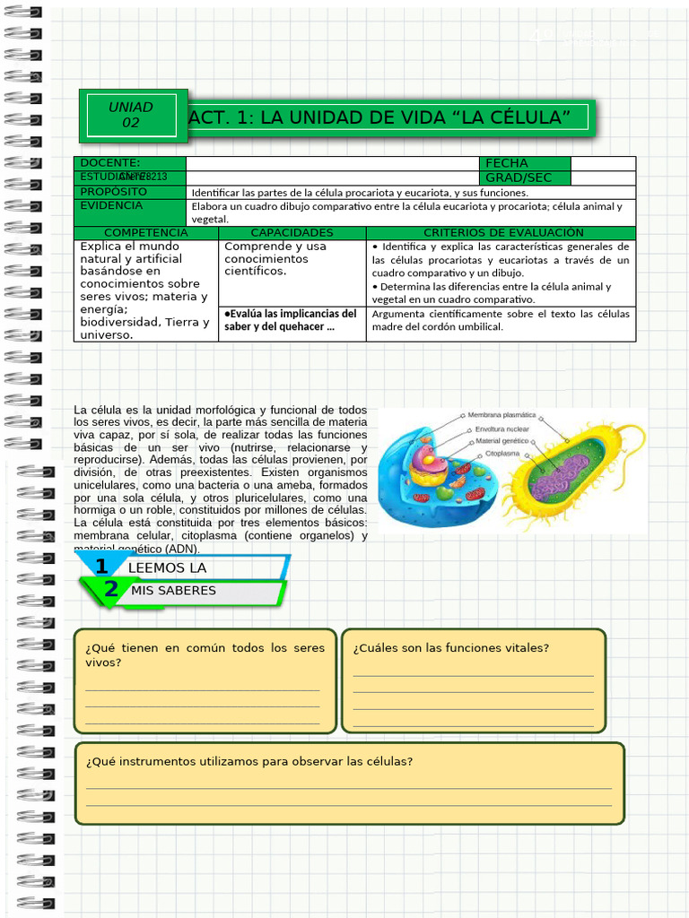 A-4º Act 1-Cyt-Und 2 - Sem 1 | PDF | Biología Celular) | Eucariotas