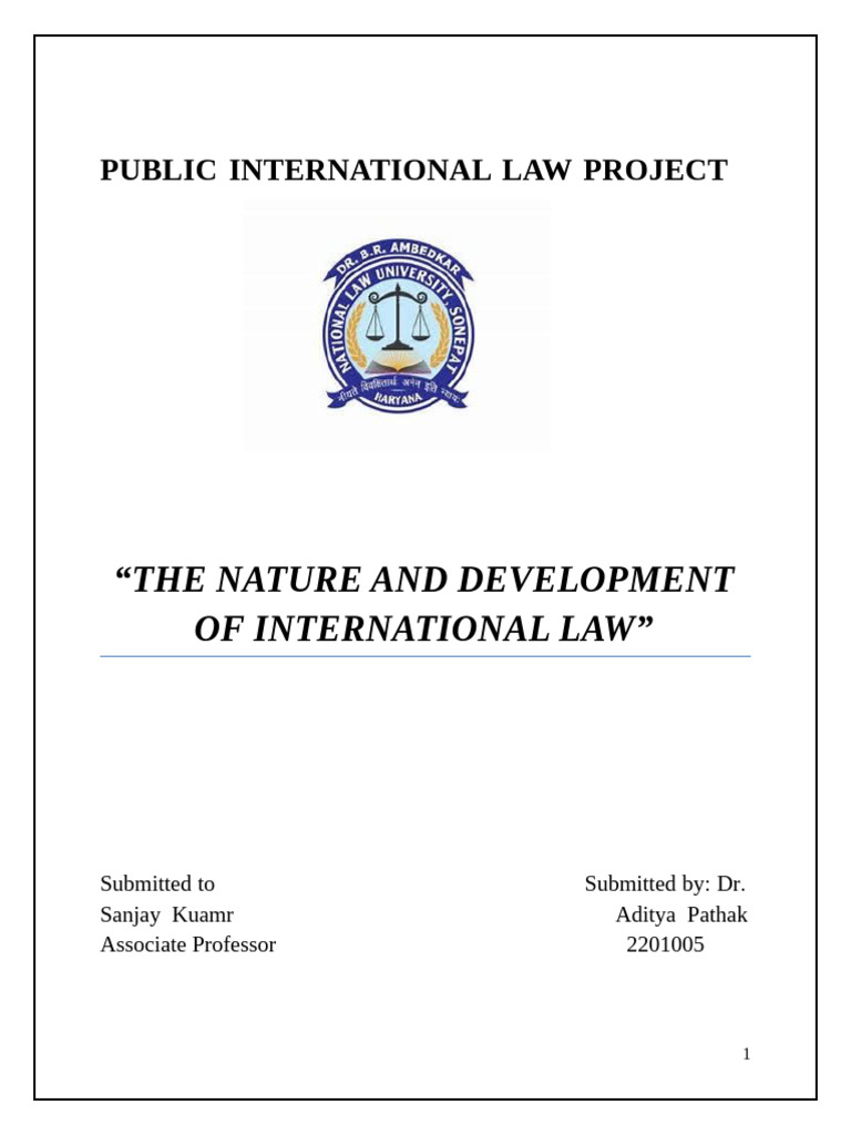 International Law Project Completed | PDF | International Law | Treaty
