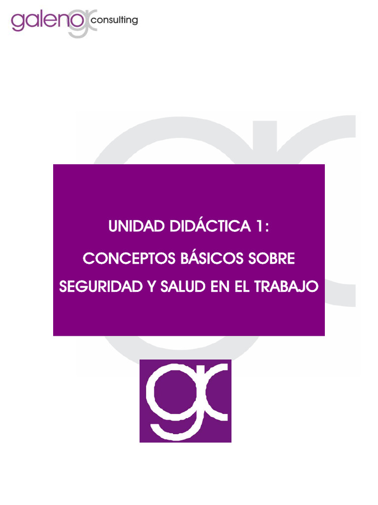 1 Conceptos Basicos Sobre Seguridad e Higiene en El Trabajo | PDF | Seguridad y salud ...