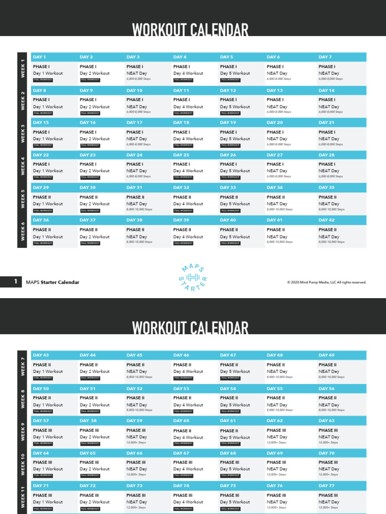 MAPS Starter Calendar PDF | PDF