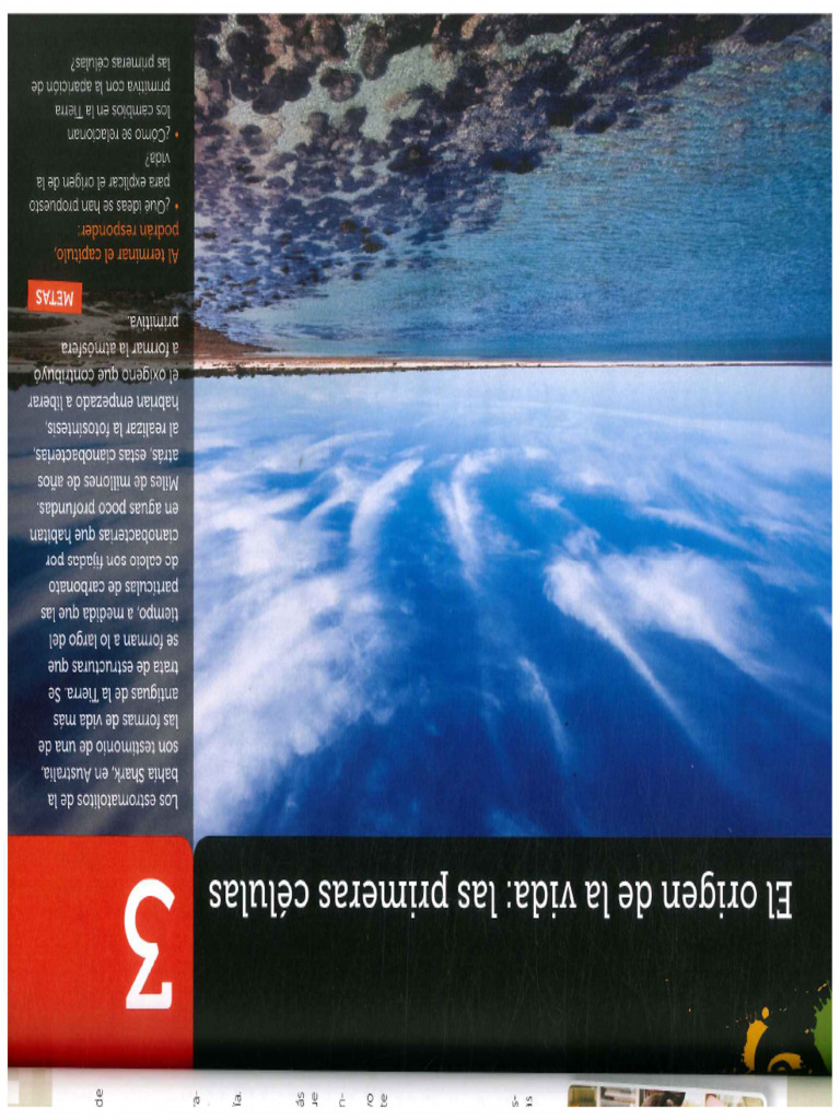 Cap-Tulos 3y4. ORIGEN DE LA VIDA Y C-LULA | PDF