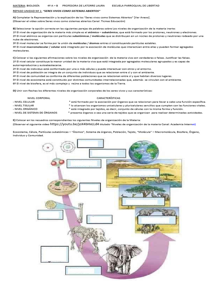 Actividad de Repaso Unidad #1 Biología 4º A - B 2025 | PDF | Organismos | Nutrición