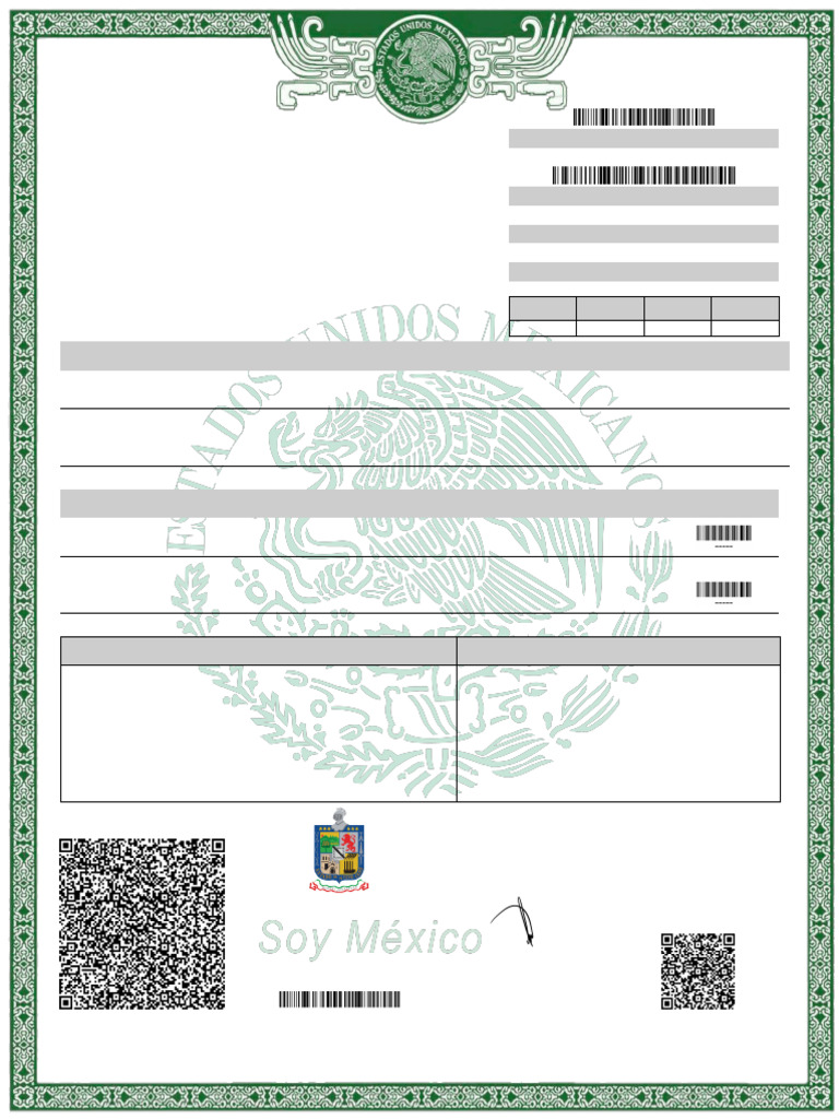 Acta de Nacimiento Alejandro Serrato | PDF | Privacidad | Aplicaciones de la criptografía