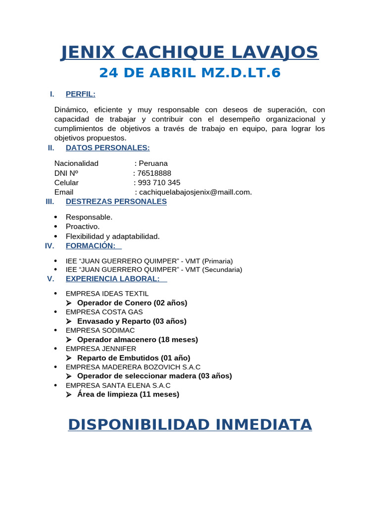 CACHIQUE_CV2025 | PDF