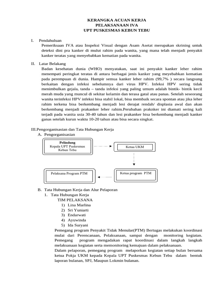 Kak Pelaksanaan Iva | PDF