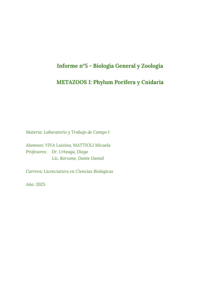 Nico Viva - Índigo Mattioli - TP 2 - DU REV | PDF | Esponja