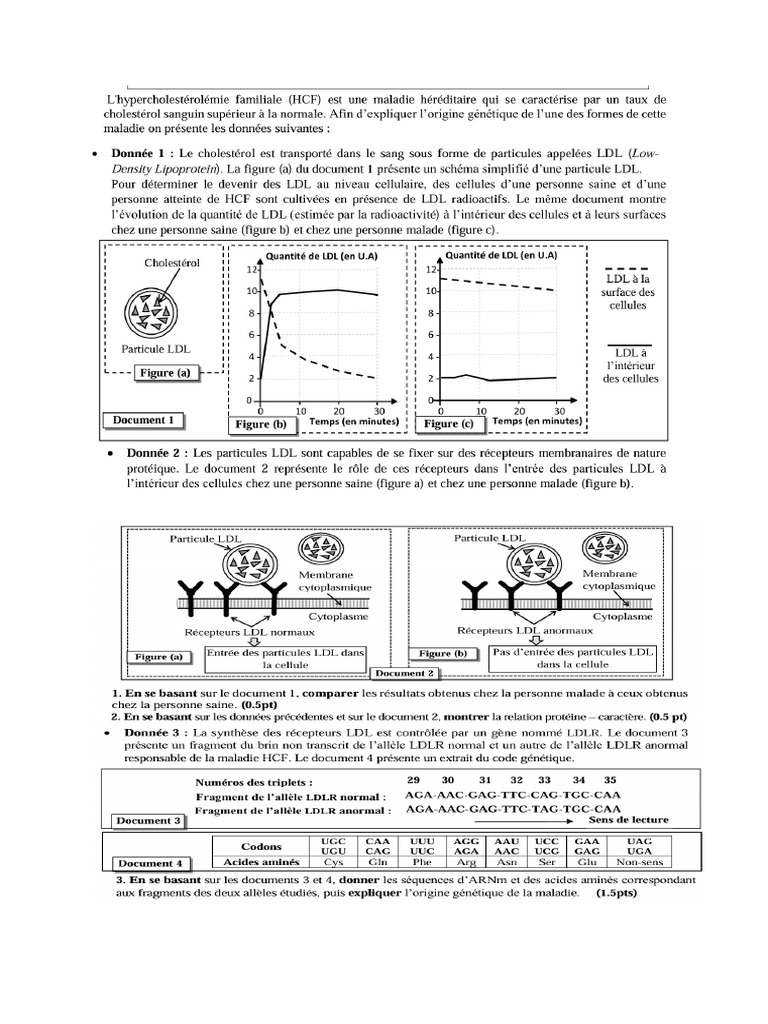 Exercice 1bac SMF | PDF