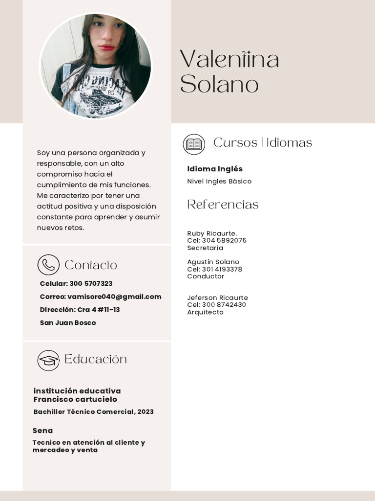 Curriculum Profesional | PDF