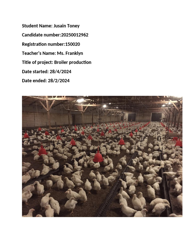 Jusain Toney Broiler Production SBA | PDF | Broiler | Chicken