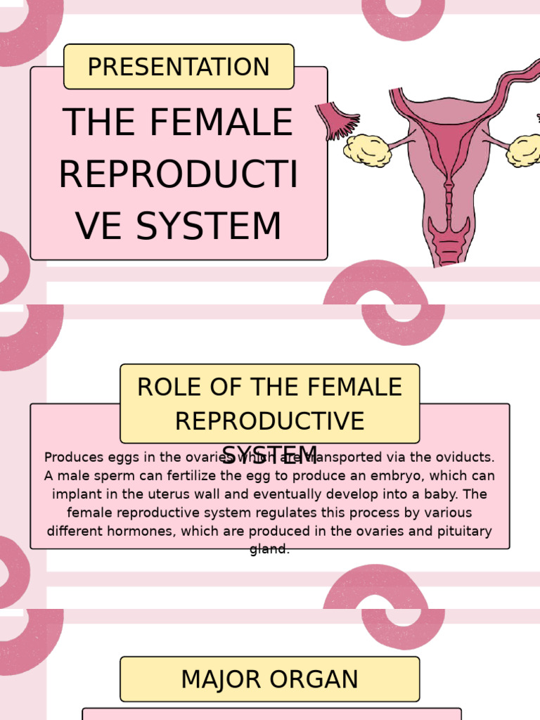 Female Reproductive System Biology Presentation in A Pink Bold Style ...