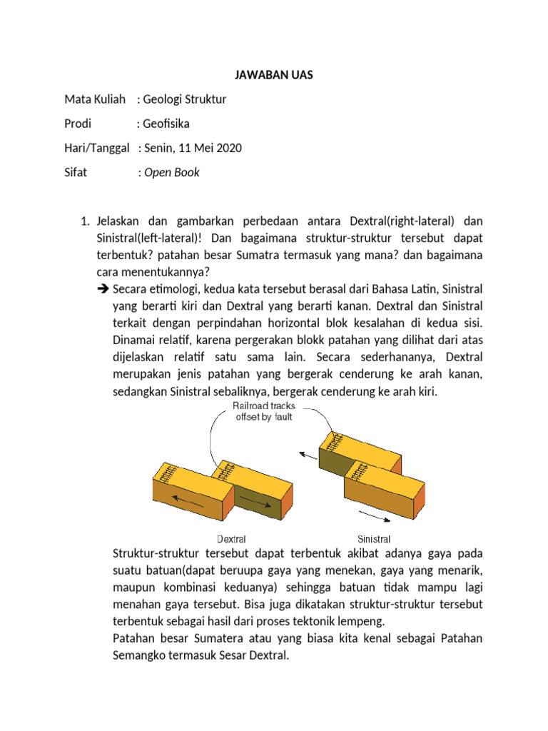 Perbedaan Dextral dan Sinistral | PDF