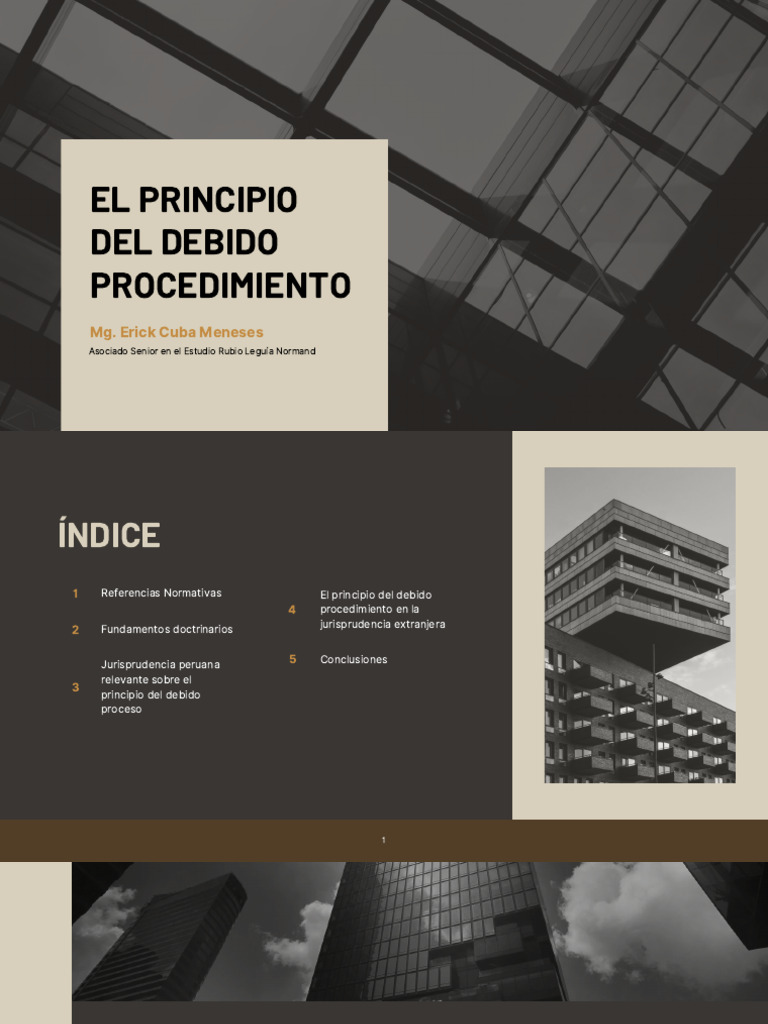 Capítulo Iii El Principio Del Debido Procedimiento | PDF | Debido al ...