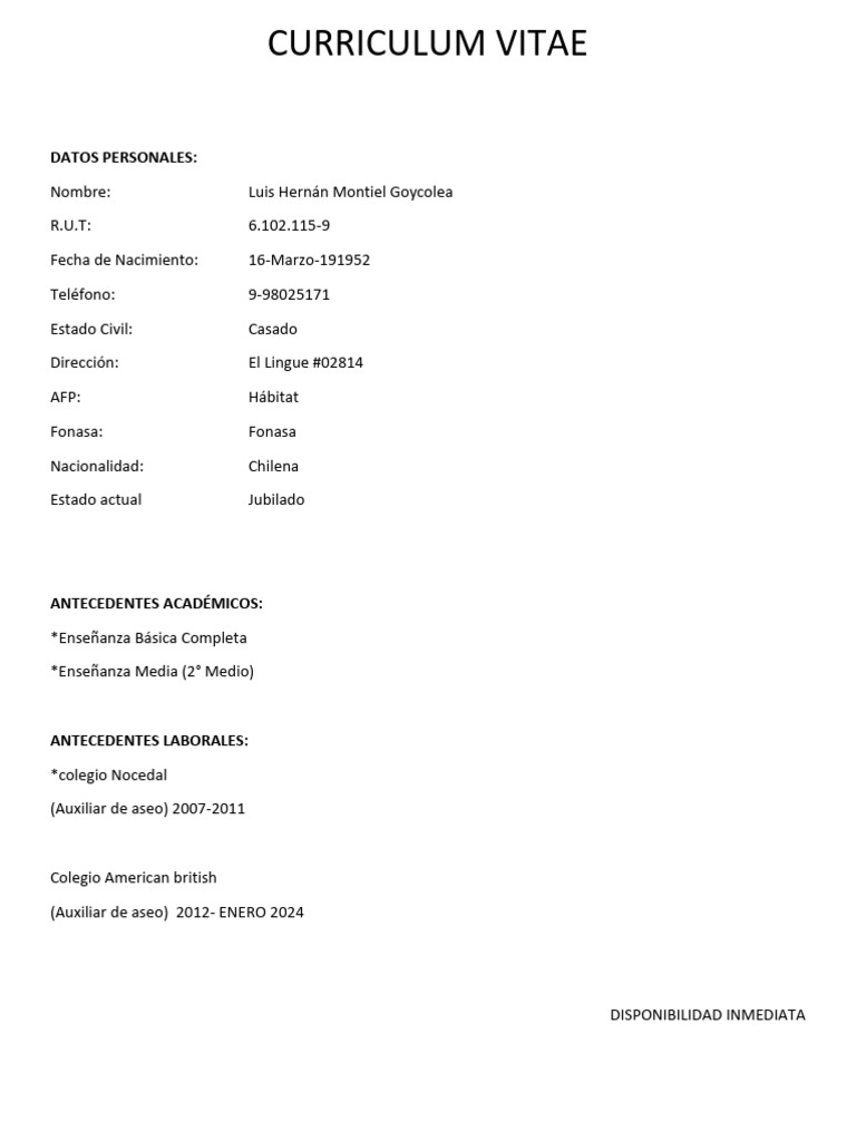 Curriculum Luis MG | PDF