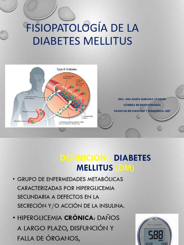 Fp-Diabetes Mellitus - 2024-I | PDF | Diabetes | Endocrino