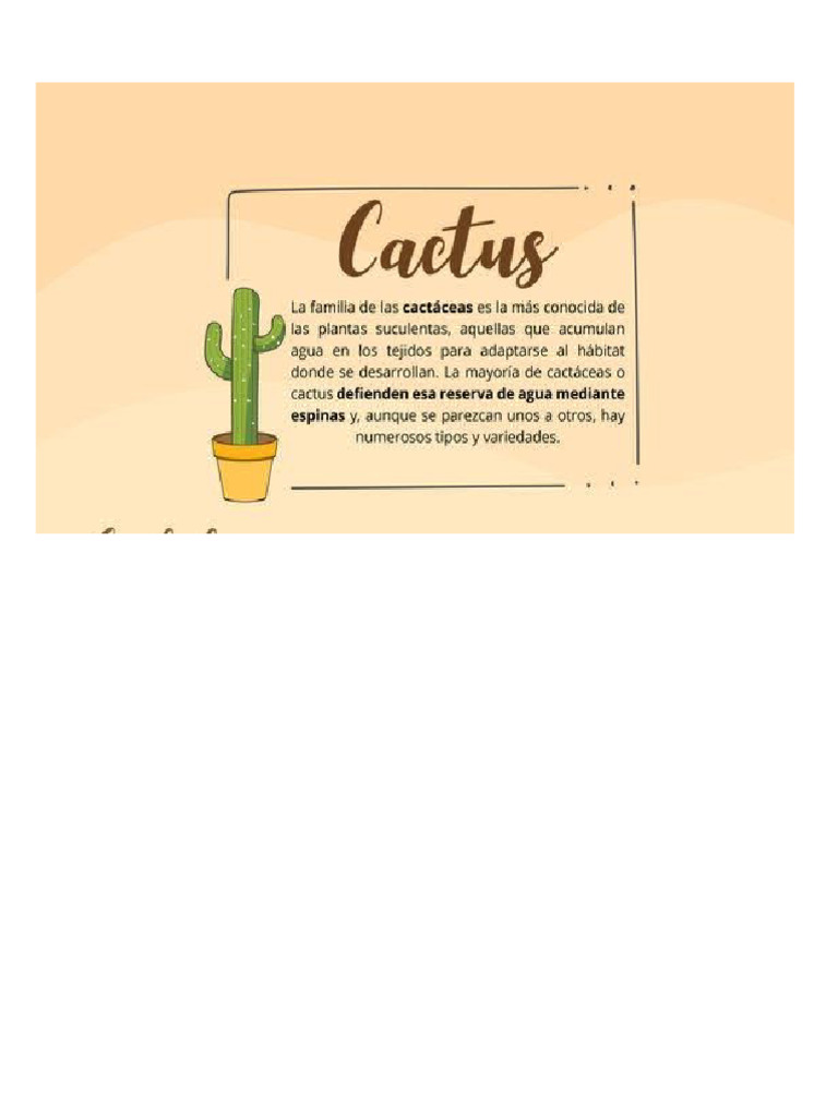 Cactus | PDF