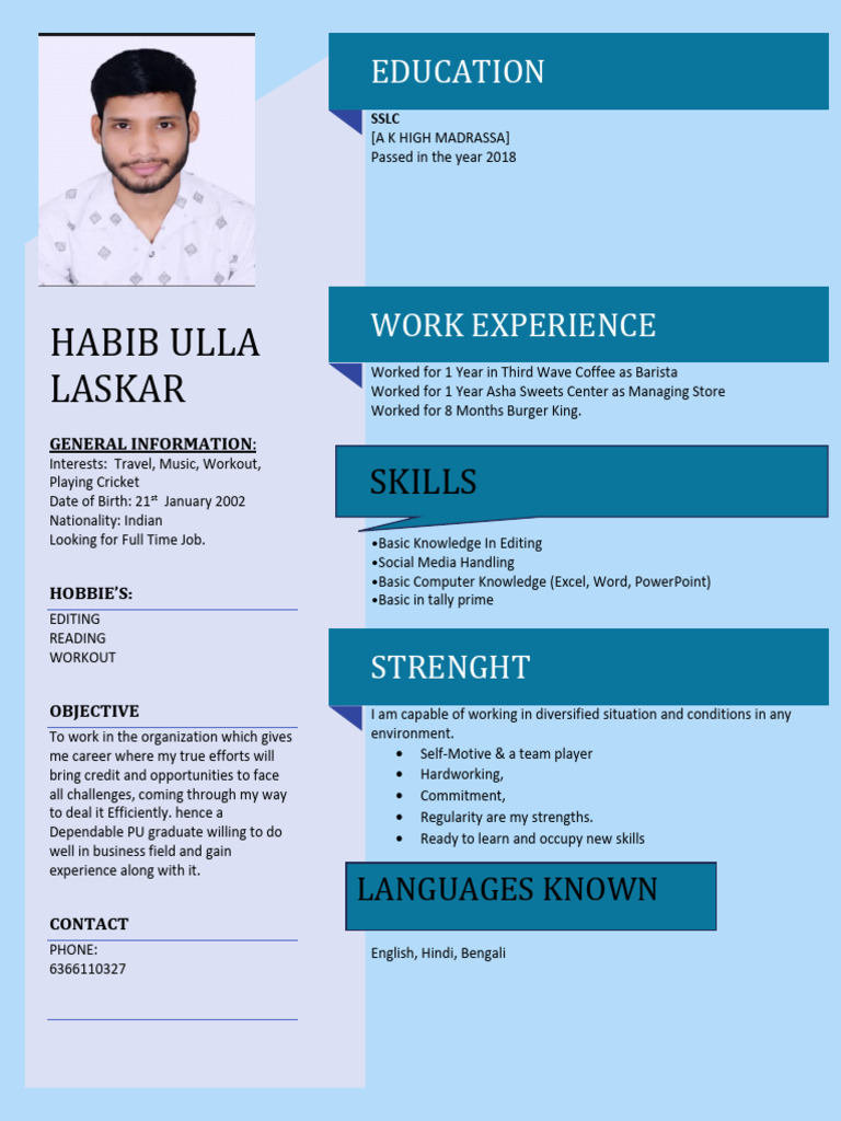 Sahil Work Resume Final | PDF