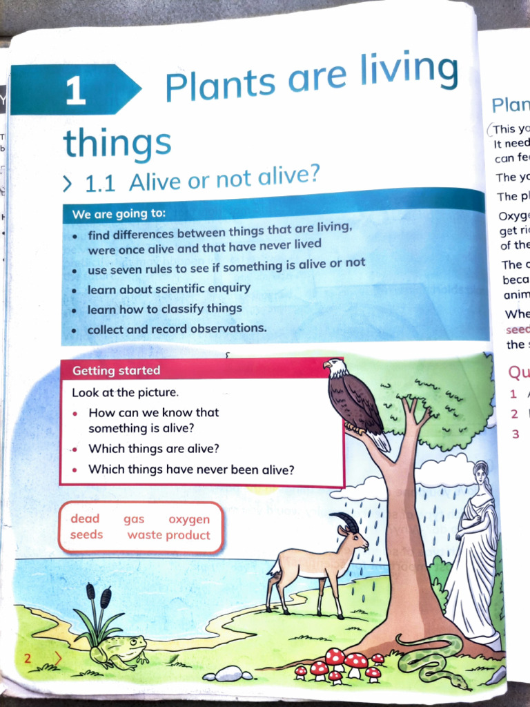 Y3 Unit 1.1 Science | PDF