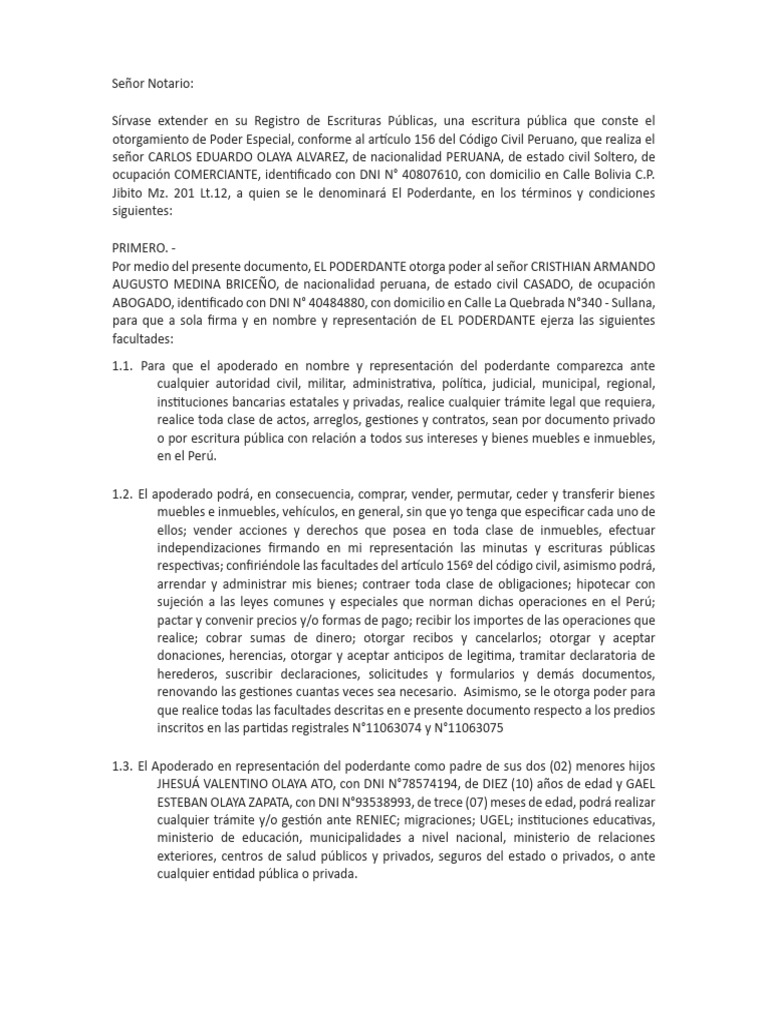 Minuta de Poder Especial Notarial | PDF