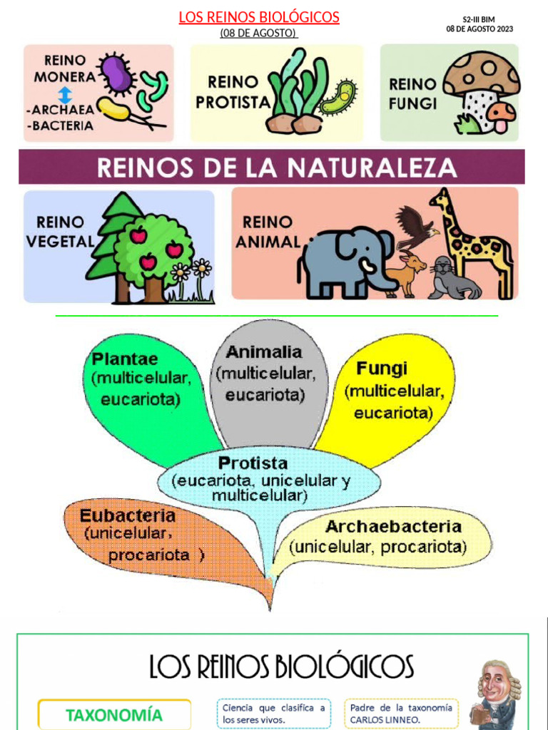 s9 - Reinos Biológicos Eubacteria y Archaea - 14 de Mayo 2025 | PDF