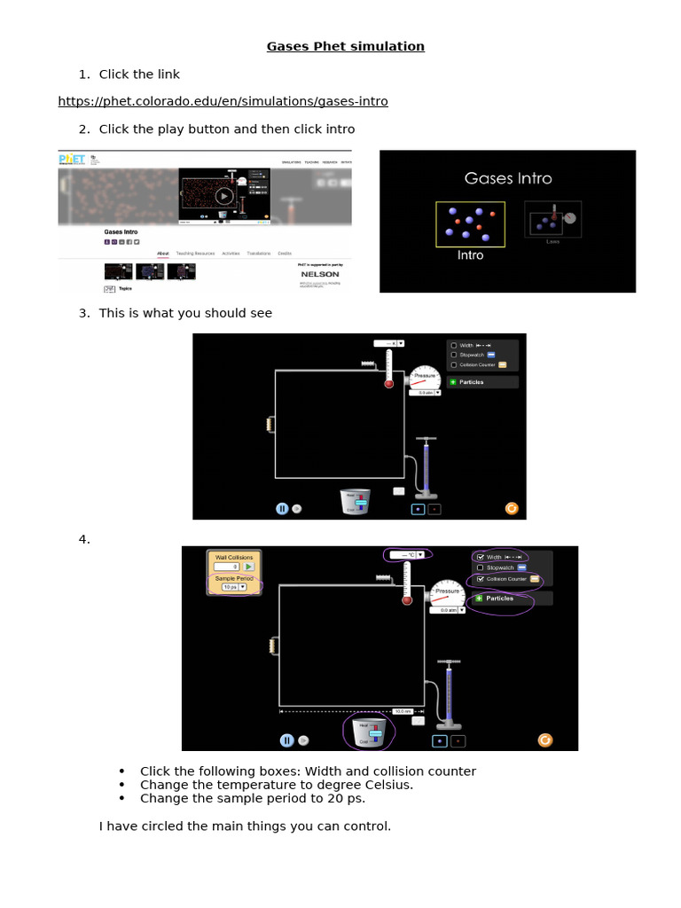 Gases Simulation Guide and Analysis | PDF