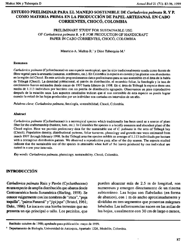 Vista de Estudio preliminar para el manejo sostenible de _i_Carludovica palmata__i_ R. y P. como ...