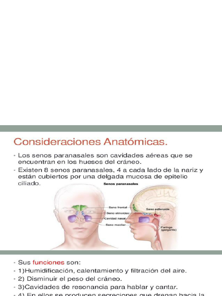 MergeResult 2023 12 15 02 22 50 | PDF | Alergia | Enfermedades y trastornos