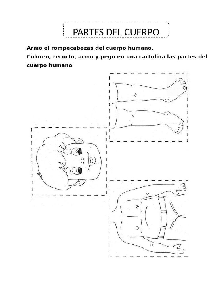 Partes Del Cuerpo para Ninos de Tres Anos | PDF