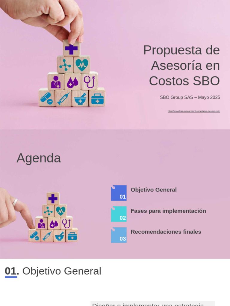 Propuesta Asesoría Costos SBO | PDF | Sas (software)