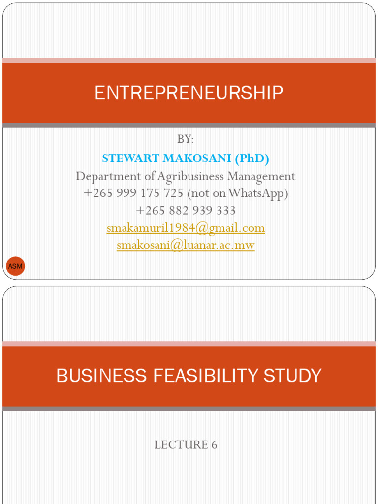 Business Feasibility Study Guide | PDF | Feasibility Study | Private Sector