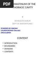 Thorax Anatomy Diagrams Overview | PDF